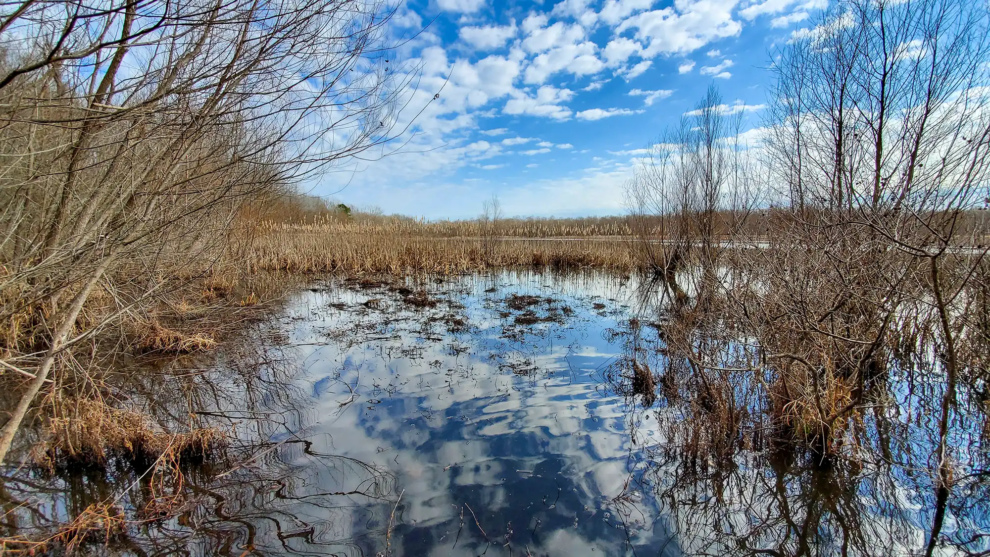 About Us | Wolf River Conservancy
